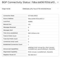 Dual Stack (IPv4/6) in NSX-T with DHCP, SLAAC and Load Balancer ...